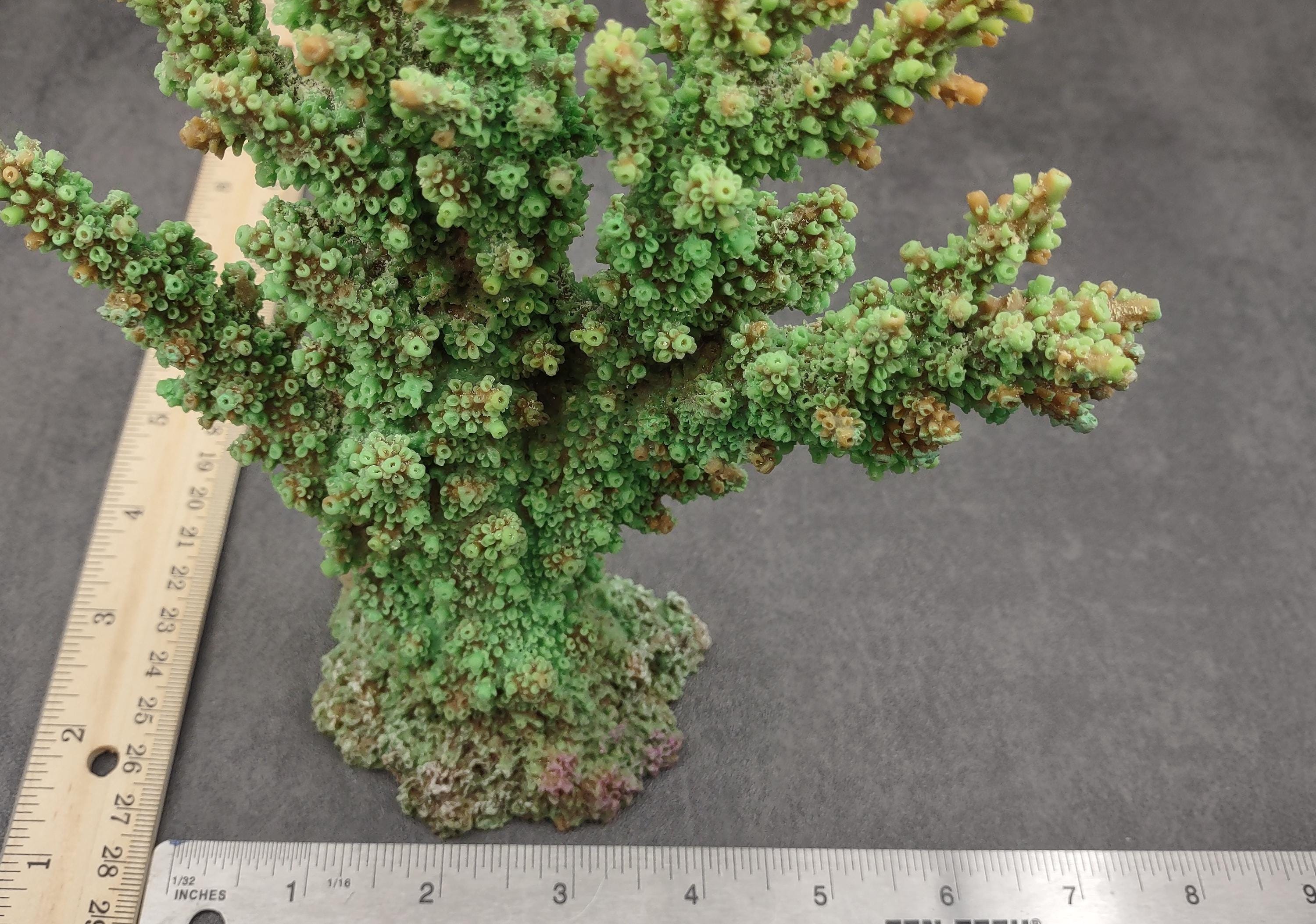 Green FAUX Branch Coral Acropora Florida (1 FAKE Coral Approx. 7 ...