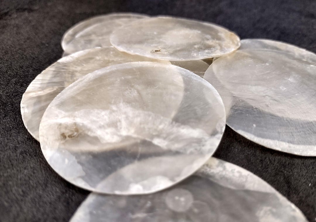 Capiz Round Cut Seashells Placuna Placenta (10 Shells Approx. 2+ Inches ...