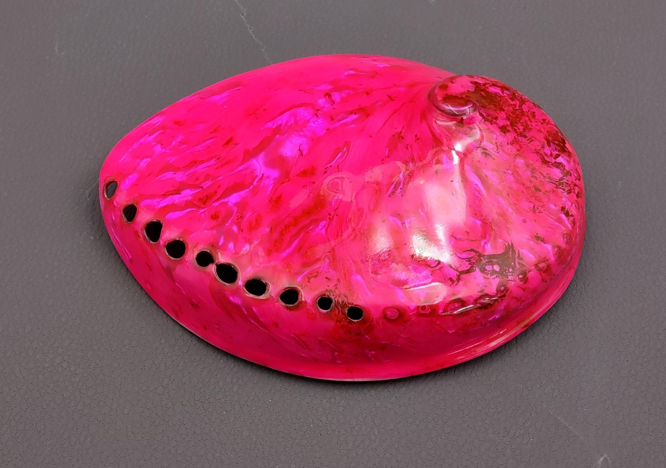 Polished Hot Pink Abalone Midas Dyed Seashell Haliotis Midae (1 Shell ...