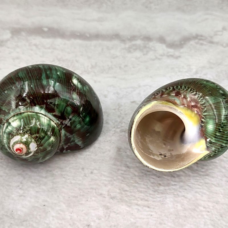 2 in 1 Polish - Etsy - Page 6