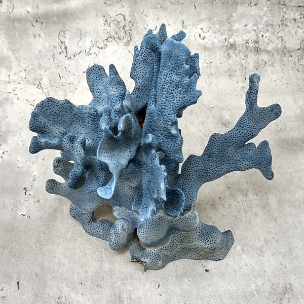 Blue Green Coral - Etsy