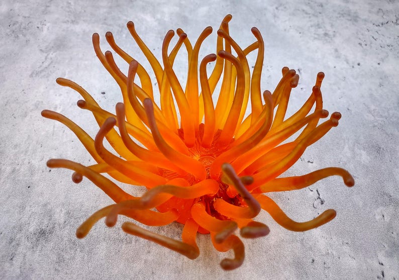 Orange FAUX Anemone Condylactis Gigantea (1 FAKE Anemone Approx ...