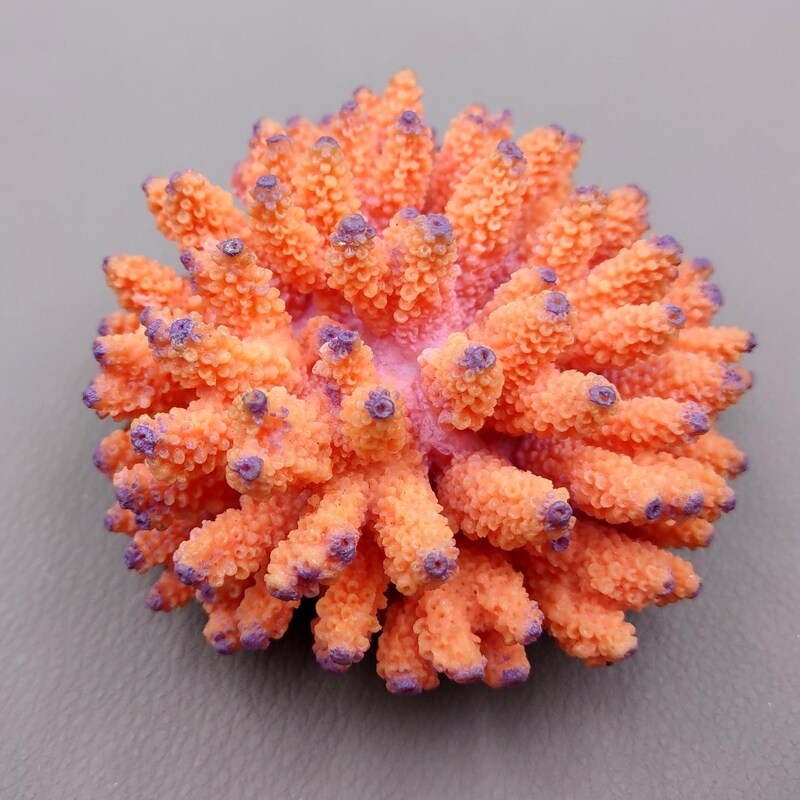 Resin Coral - Etsy