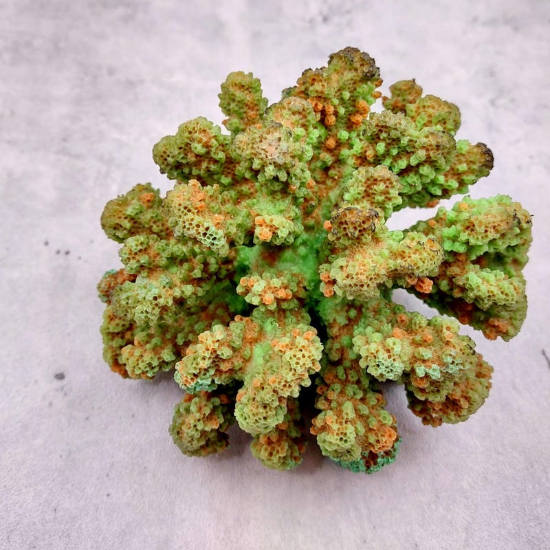 Resin Coral - Etsy