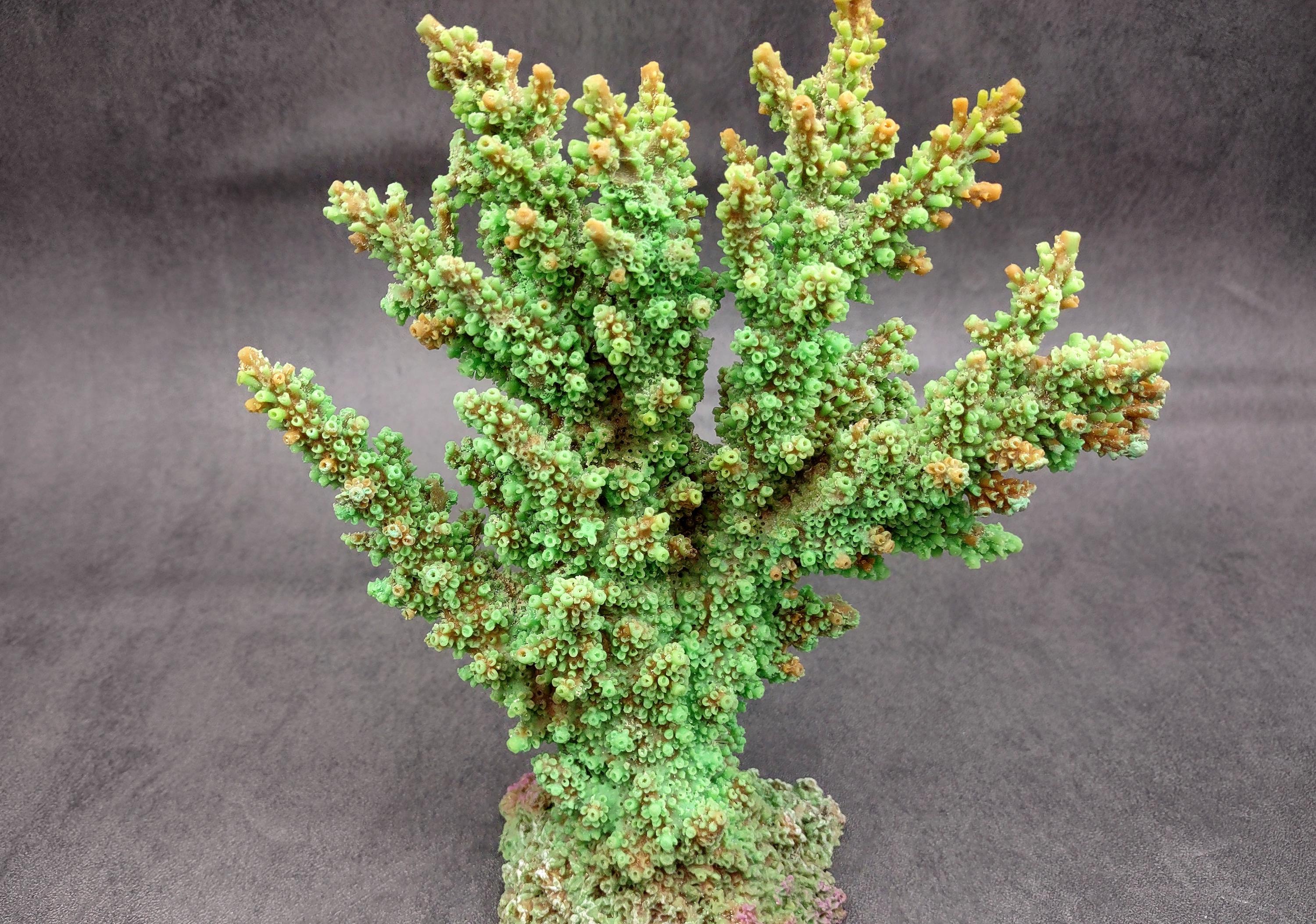 Green FAUX Branch Coral Acropora Florida (1 FAKE Coral Approx. 7 ...