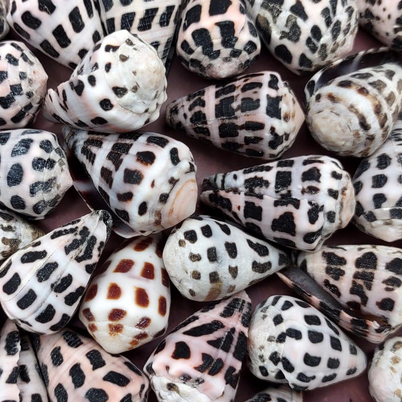 Small a for Decoration - Etsy