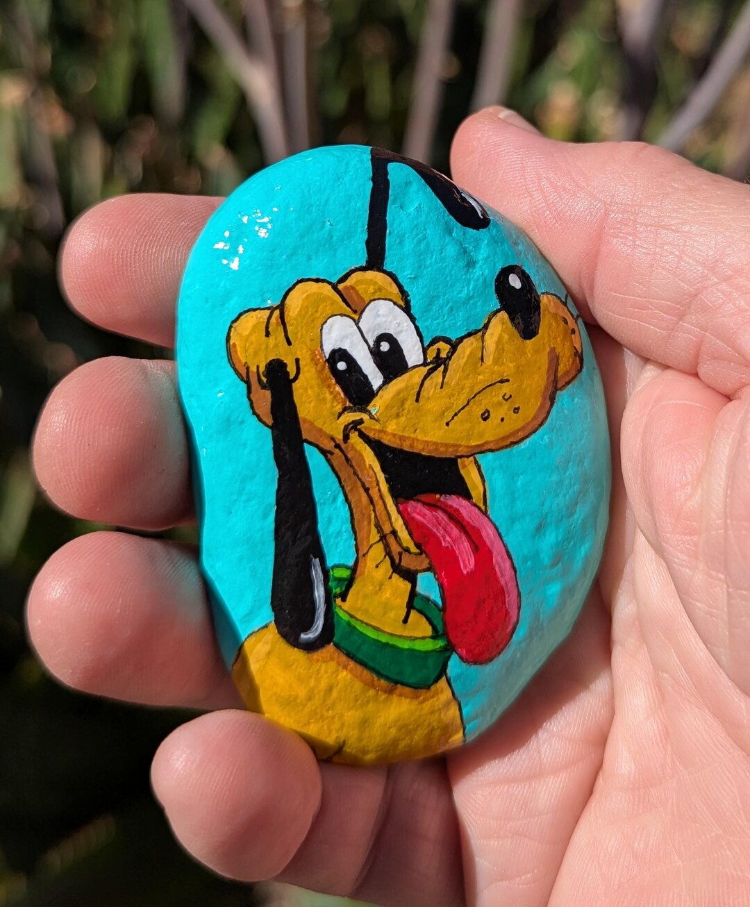 Pluto Painted River Rock - Etsy