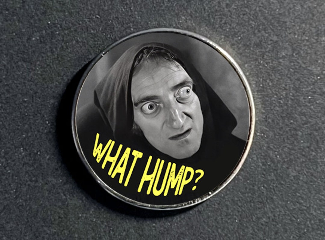 What Hump? is It Wednesday? - Pin - Free Shipping! - Etsy