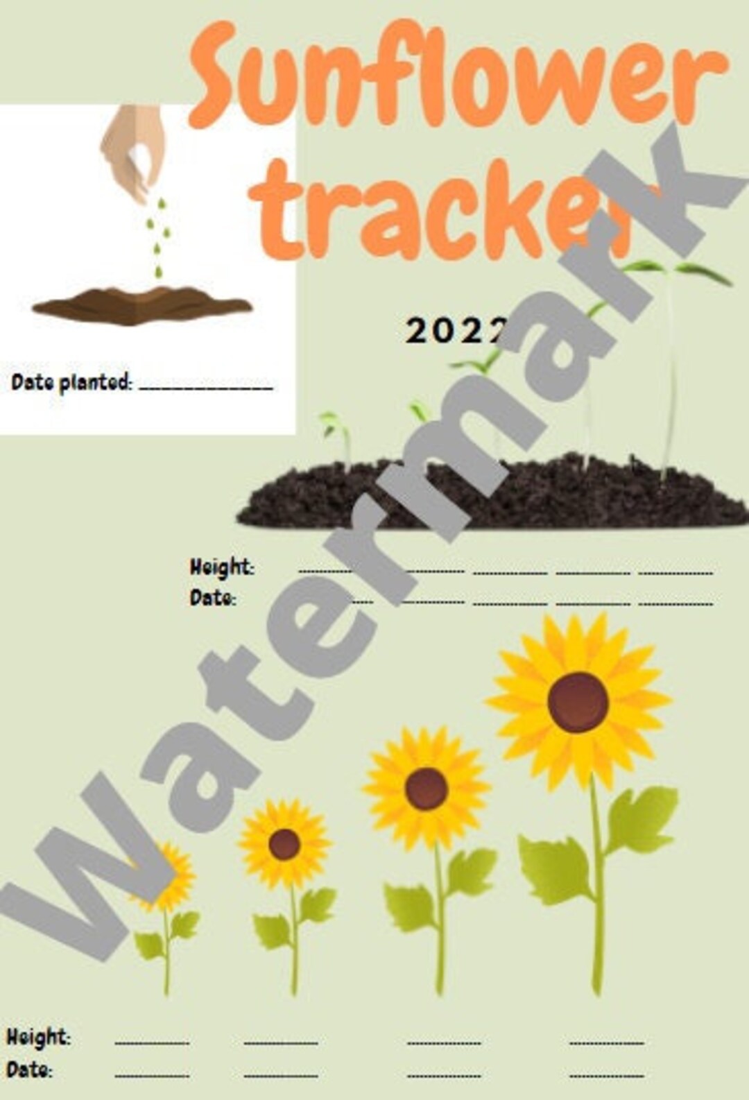 Little Growers Sunflower Tracker 2022 Watch Me Grow - Etsy