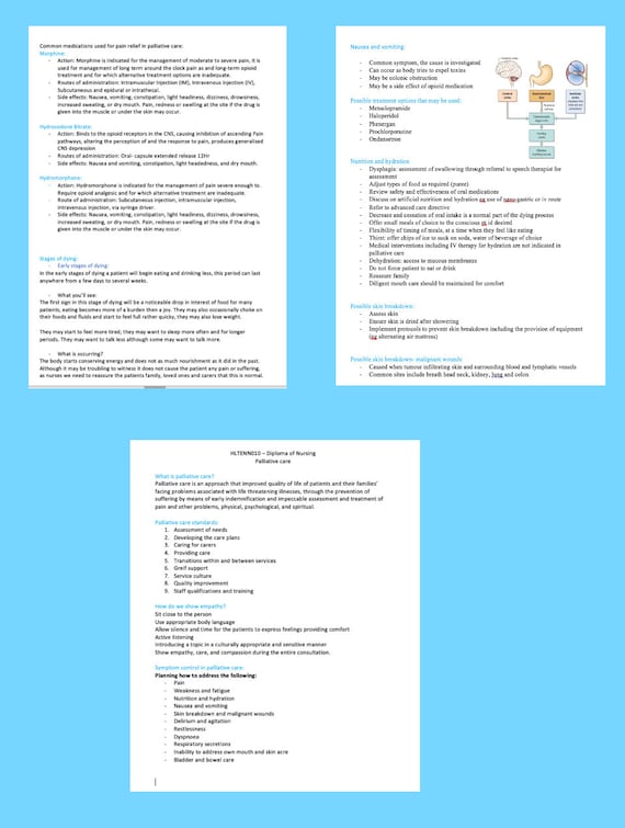 Palliative Care Nursing Notes - Etsy