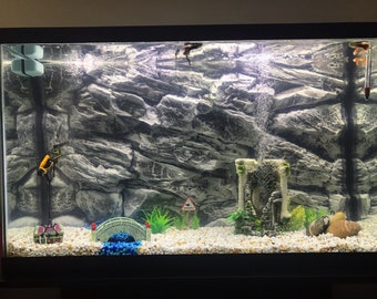 3d Vivarium Background - Etsy