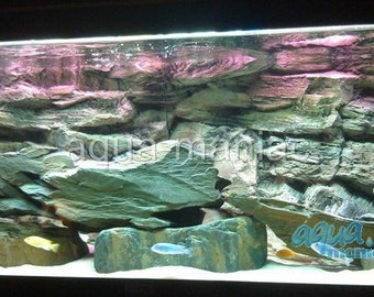 3d Vivarium Background - Etsy