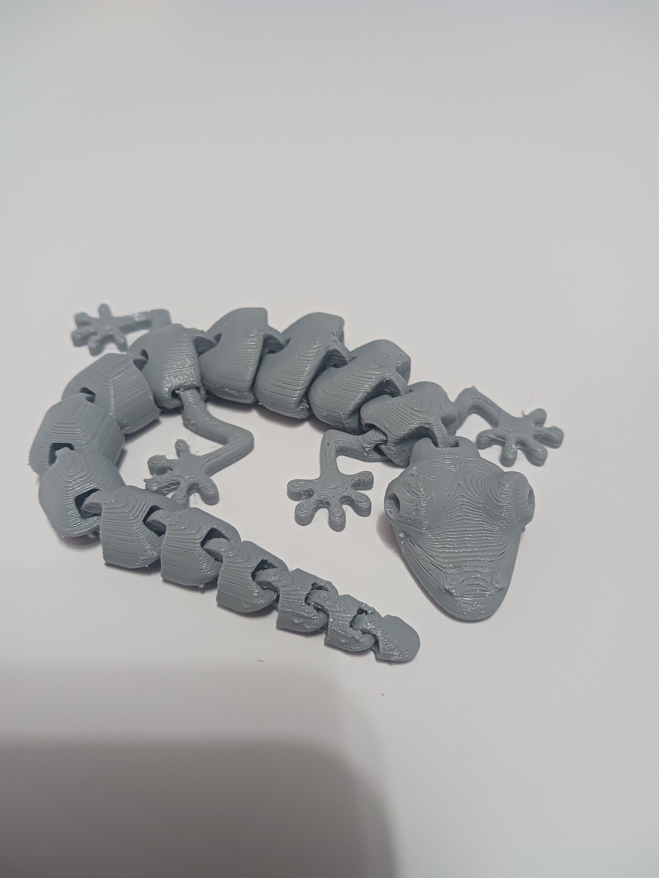 Articulated Lizard Fidget Toy - 3D Printed - Etsy