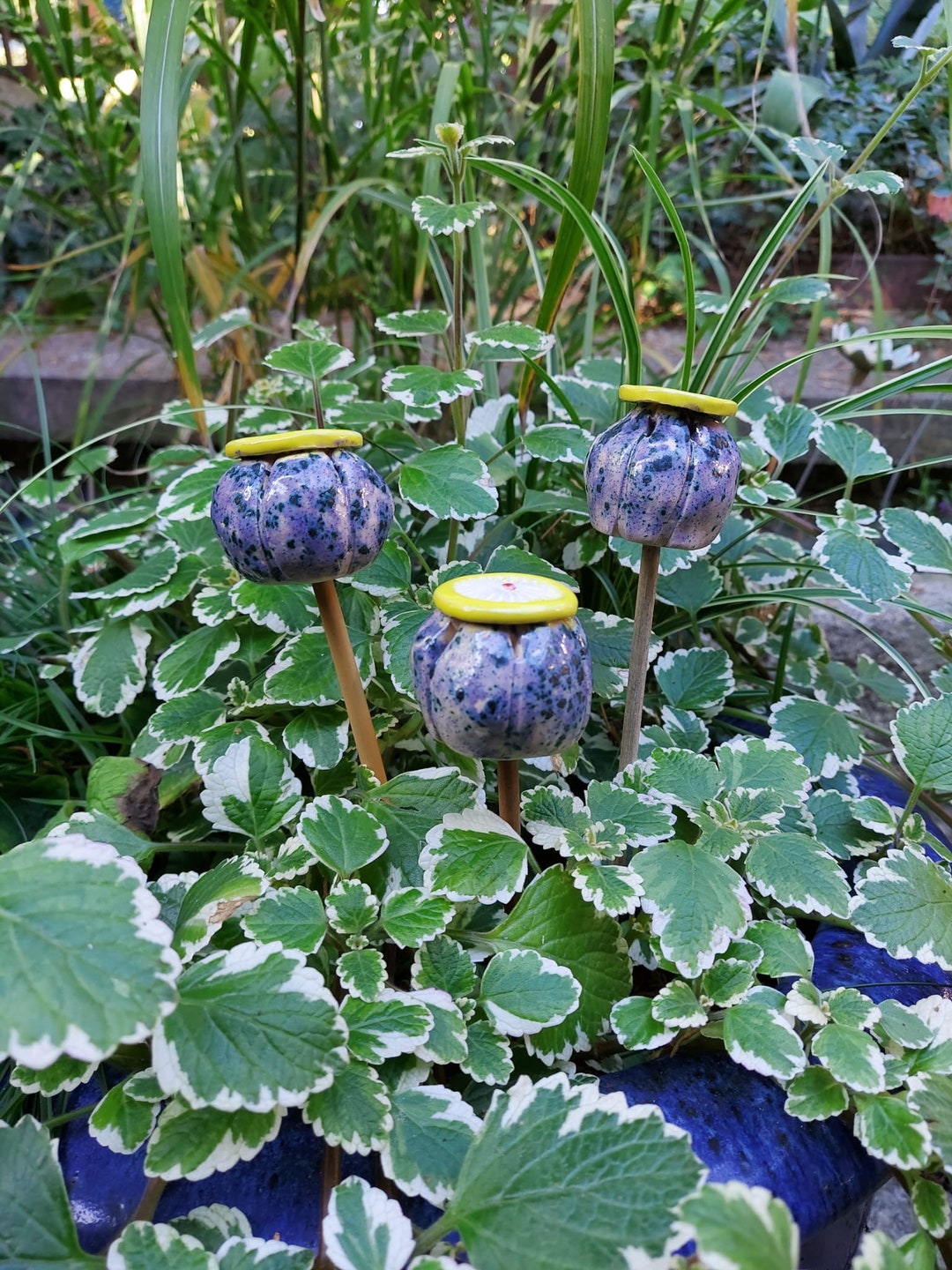 3 Seed Pods Mottled Yellow and Violet / Pink Pottery - Etsy