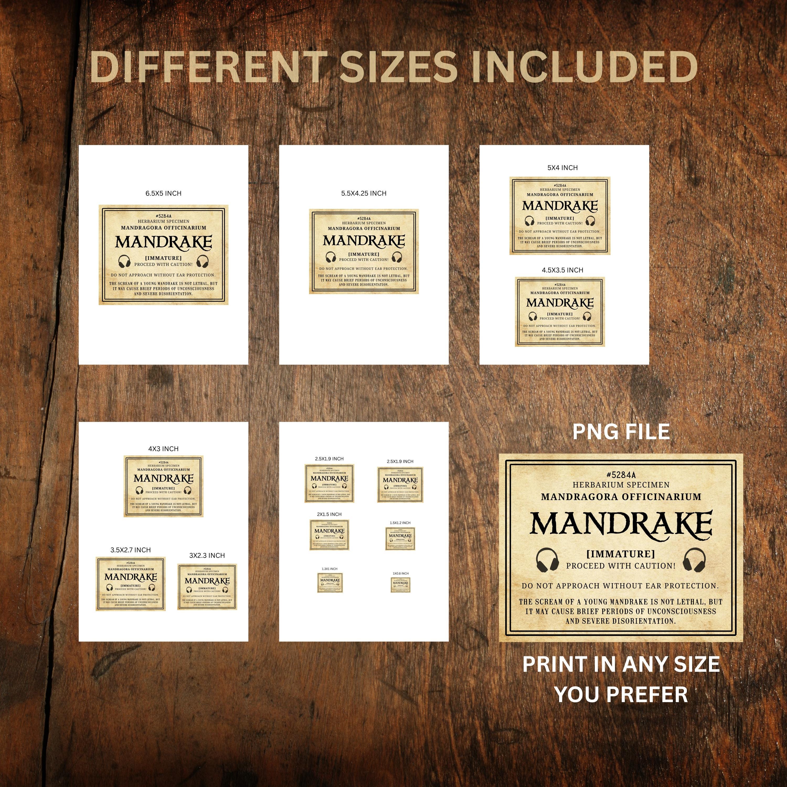 Printable Mandrake Label – Realistic Wizard Herbology Sticker Prop ...