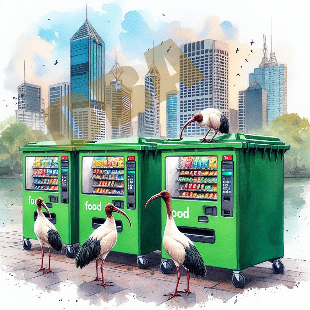 Funny Ibis Trash Bin Vending Machines Bin Chickens Digital Image ...