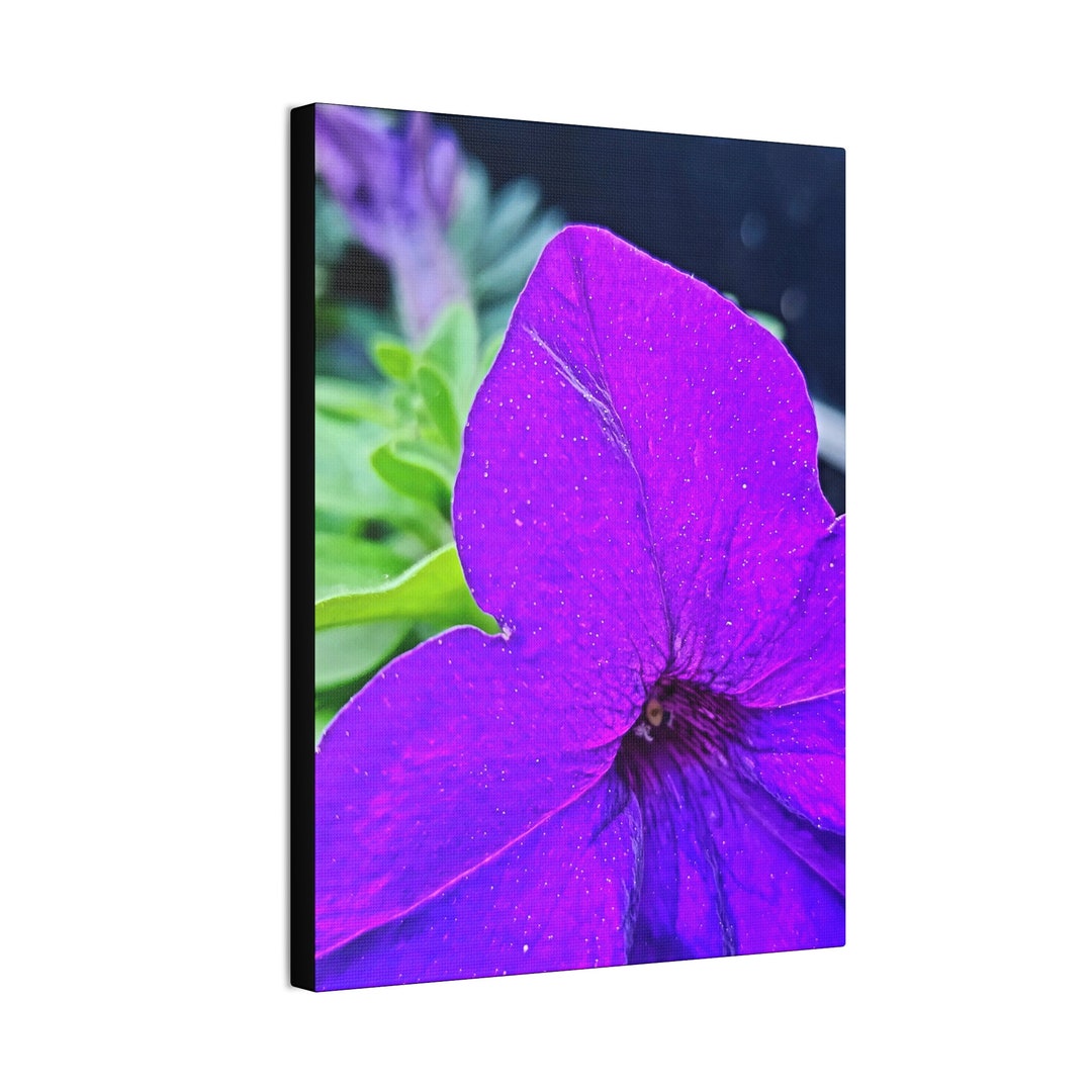 TURNING VIOLET 12 Inch X 16 Inch Stretched Canvas Canvas - Etsy