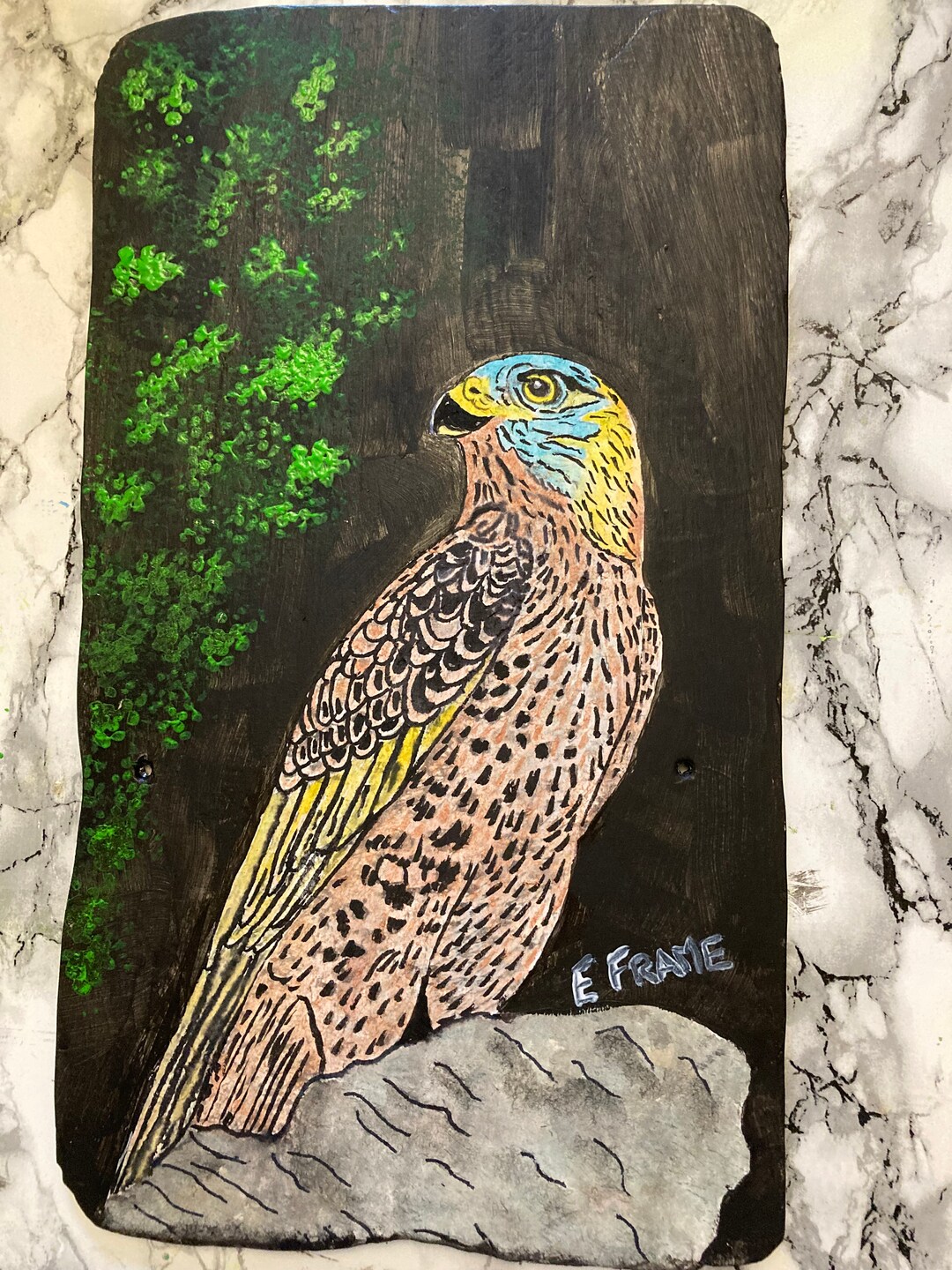 Falcon Painted on Slate - Etsy