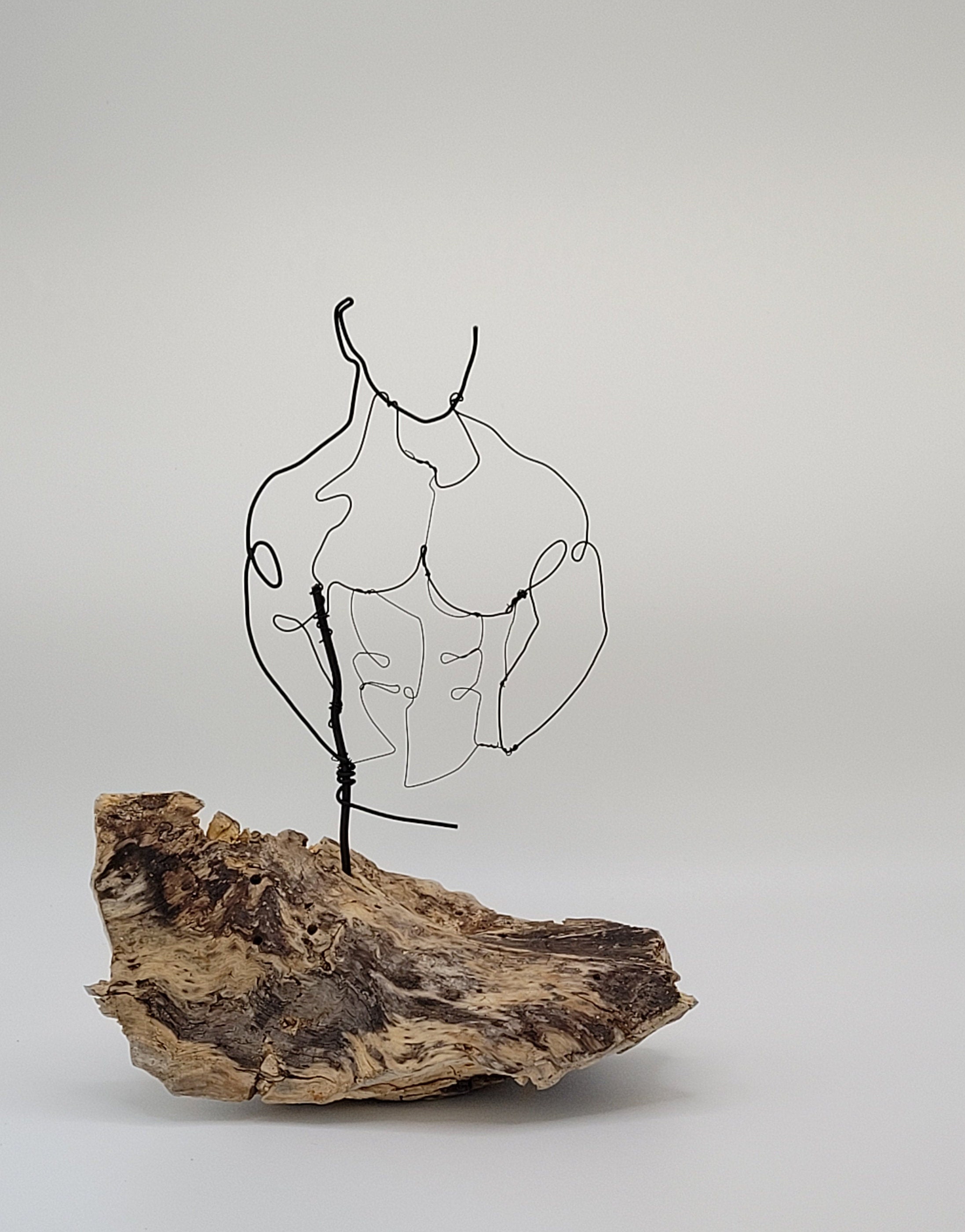 Wire Bodybuilder, Torso, Naked Man, Handwork, Driftwood - Etsy