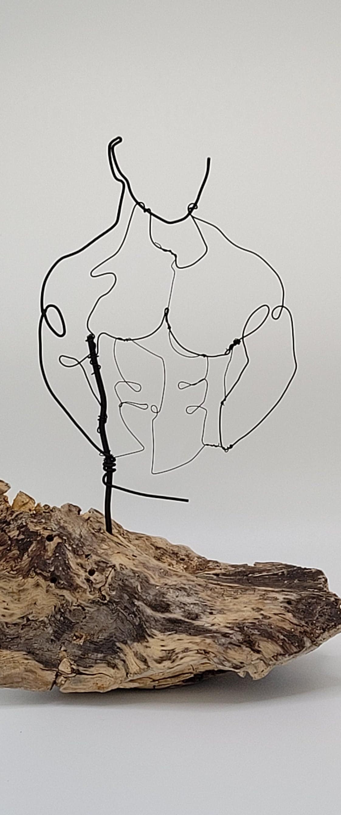 Wire Bodybuilder, Torso, Naked Man, Handwork, Driftwood - Etsy