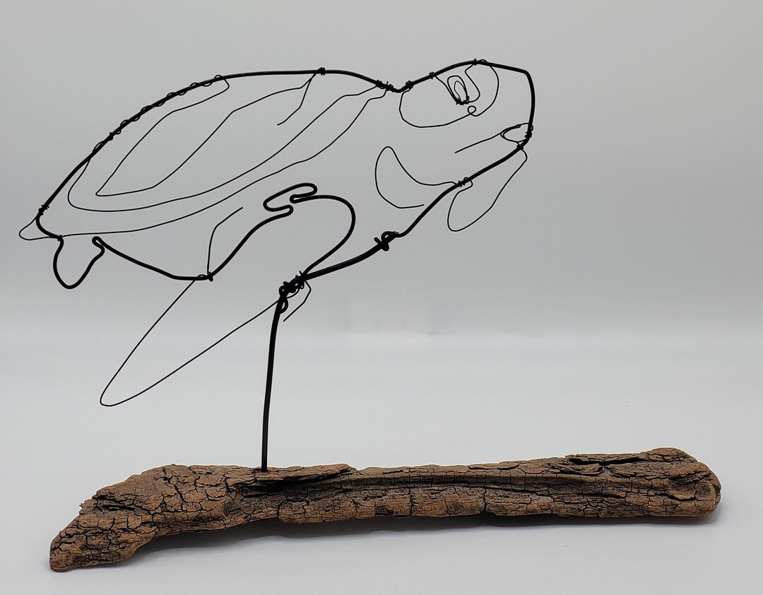 Turtle Made of Wire, Water Turtle, Wire Figure, Handcraft, Driftwood - Etsy