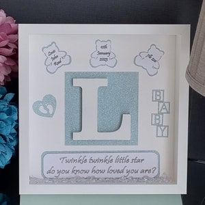 New Baby Shadow Box, New Baby Gift, Shadow Box for Newborn, Newborn ...