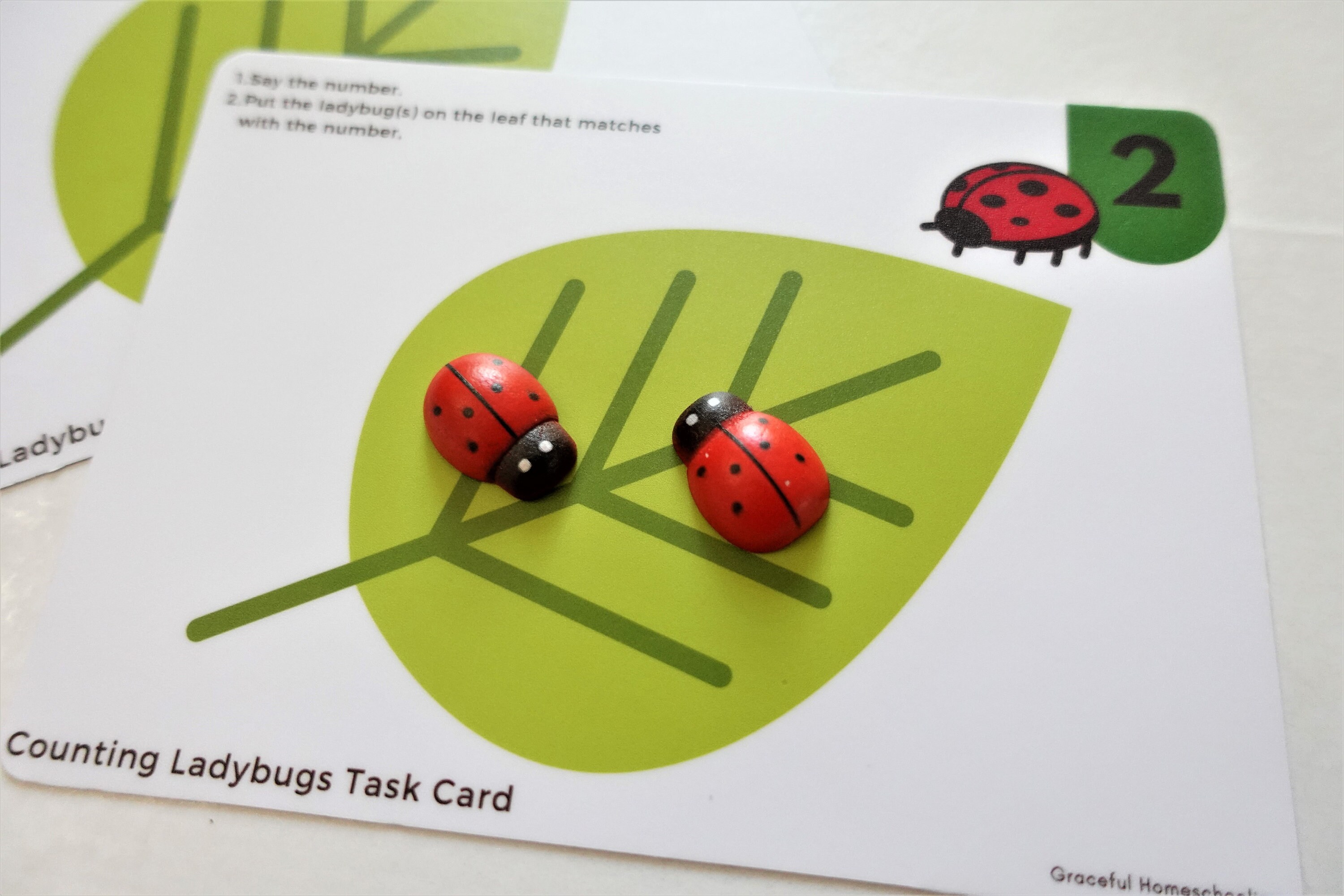 Preschool Counting Activity, Counting Cards, Preschool Math ...