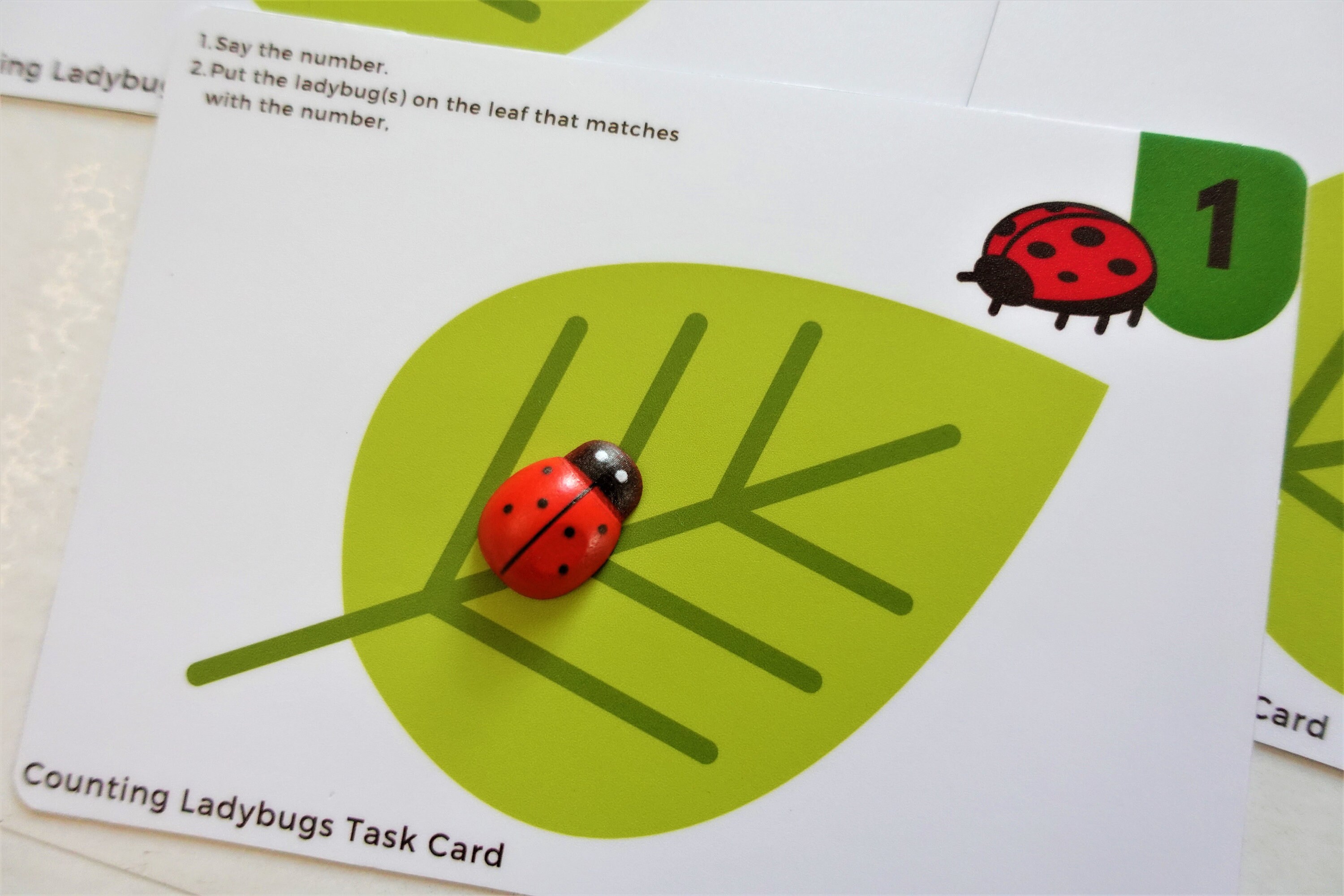 Preschool Counting Activity, Counting Cards, Preschool Math ...