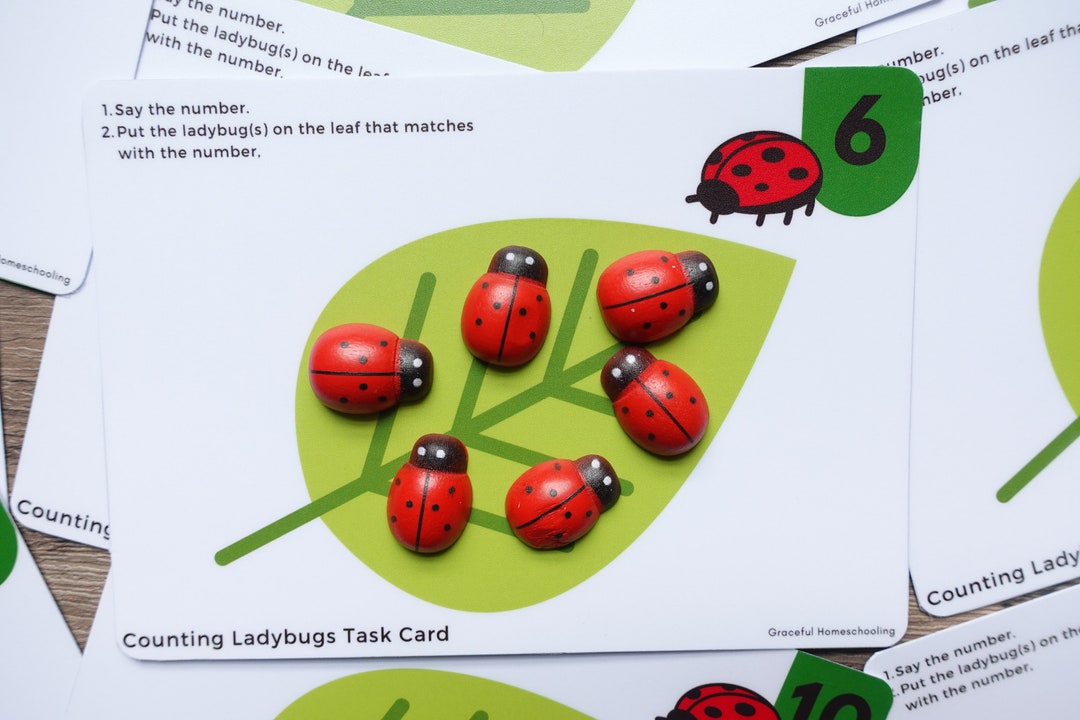 Preschool Counting Activity, Counting Cards, Preschool Math ...