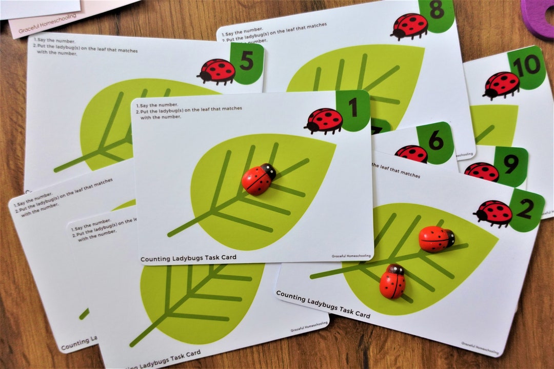Preschool Counting Activity counting Ladybugs - Etsy