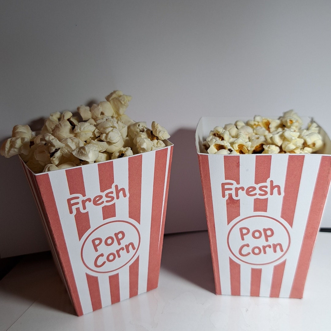 Popcorn Bucket Snack Fallout Popcorn Box, Party Decor, Birthday Decor ...