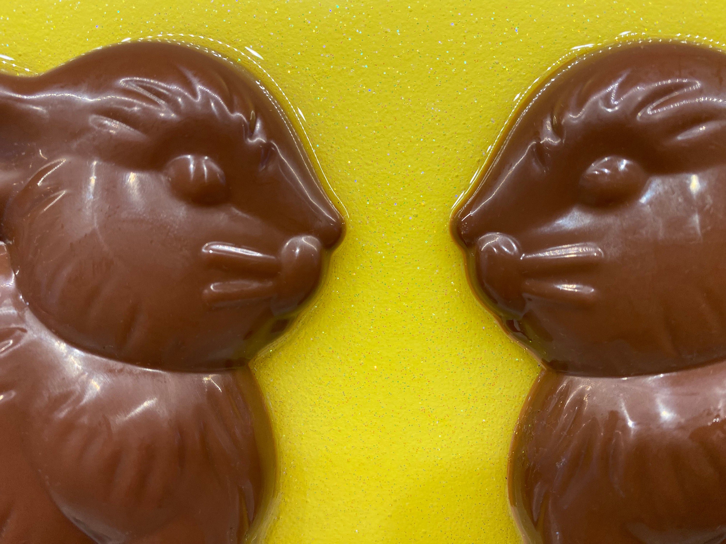 Chocolate Bunny Painting, Pop Art, Pop Art Wall Hanging, 3D Resin Art ...