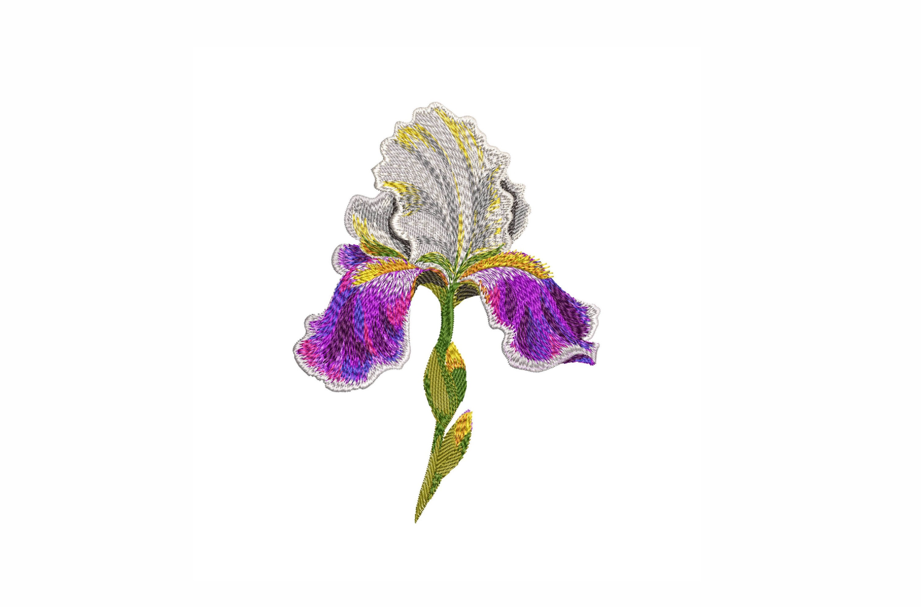 Iris Flower Machine Embroidery Design. 4 Sizes. Iris - Etsy
