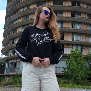 Abraxos, Wyvern, Throne of Glass, Manon, Iron Teeth Witch, Blackbeak ...