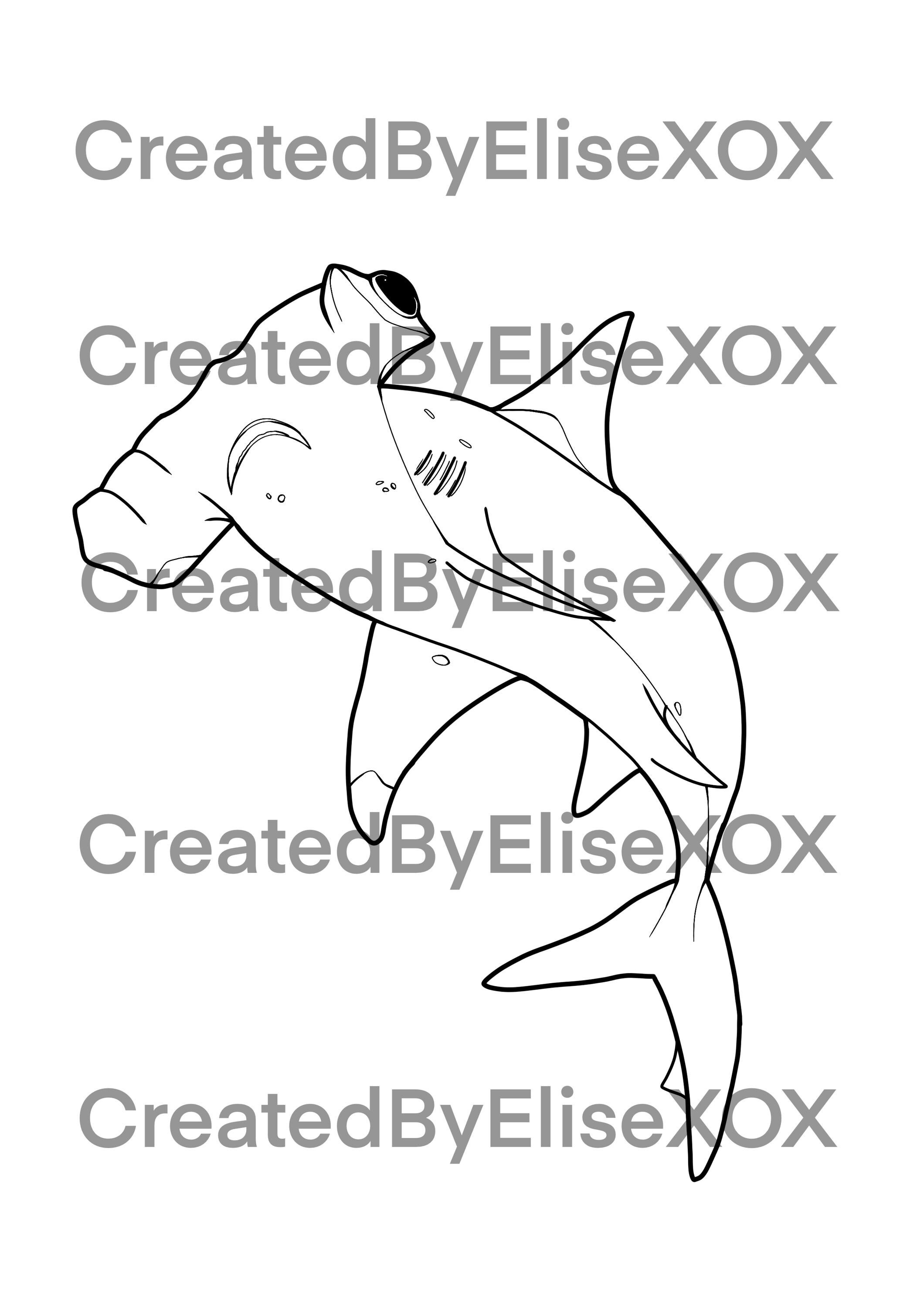 Aquatic Life Printable Coloring Book Kids Adults Teens Color Drawing ...