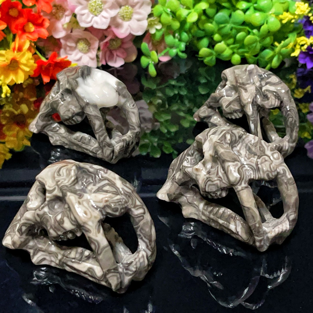 3.78natural Picasso Dragon Skull ,home Decoration,divination L,energy ...