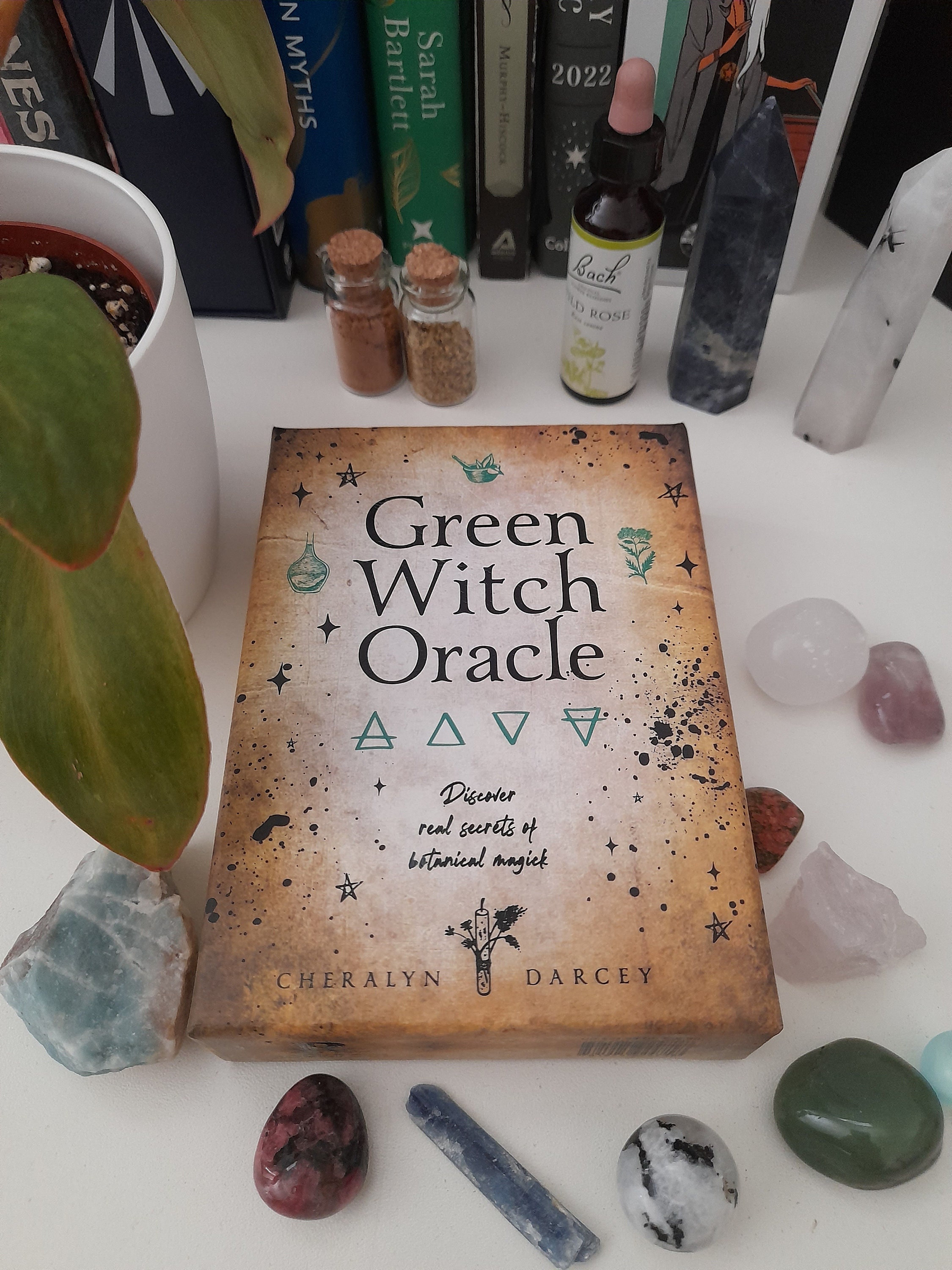 Green Witch Oracle Reading *same Day* - Etsy