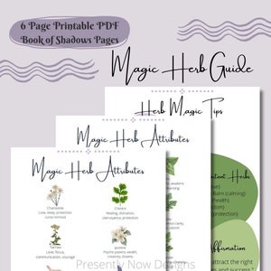 Magic Herb Guide | Common Herb Uses | Herbal Magic Template | Grimoire ...
