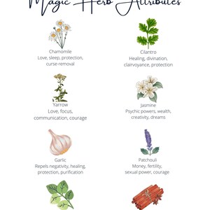 Magic Herb Guide | Common Herb Uses | Herbal Magic Template | Grimoire ...