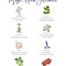 Magic Herb Guide | Common Herb Uses | Herbal Magic Template | Grimoire ...