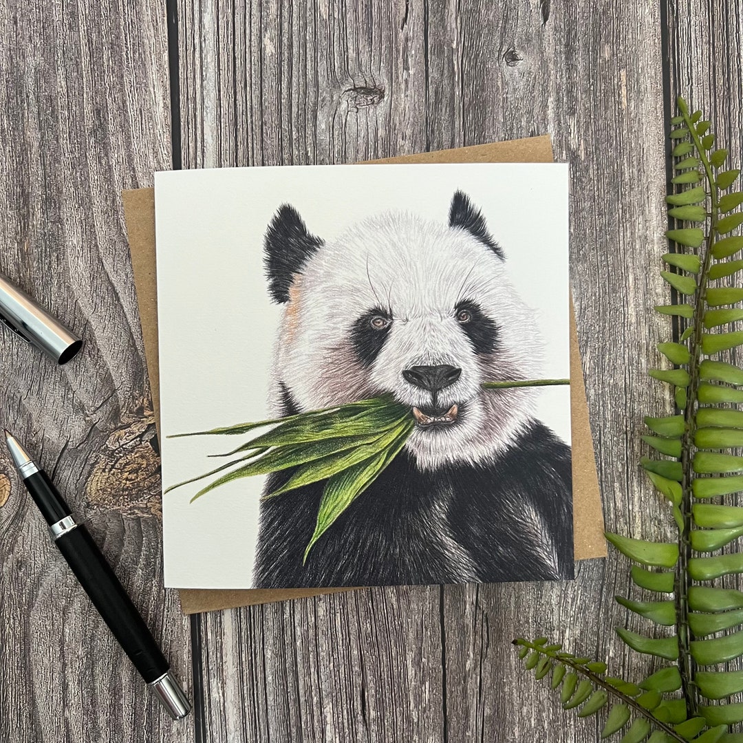 Panda Card Panda Greeting Card Greetings Card Blank Inside - Etsy