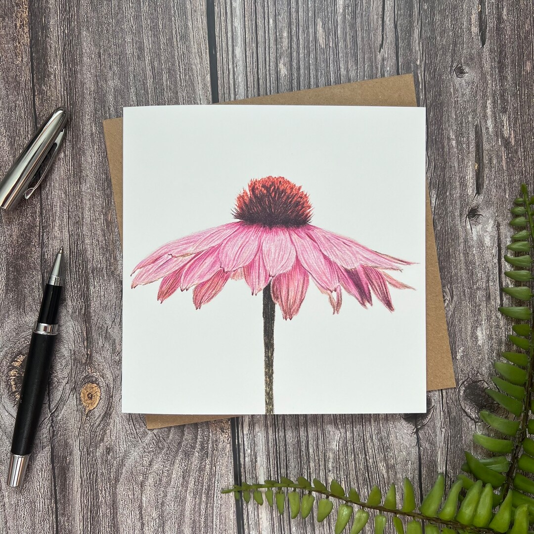 Daisy Card Daisy Greeting Card Greetings Card Blank Inside - Etsy