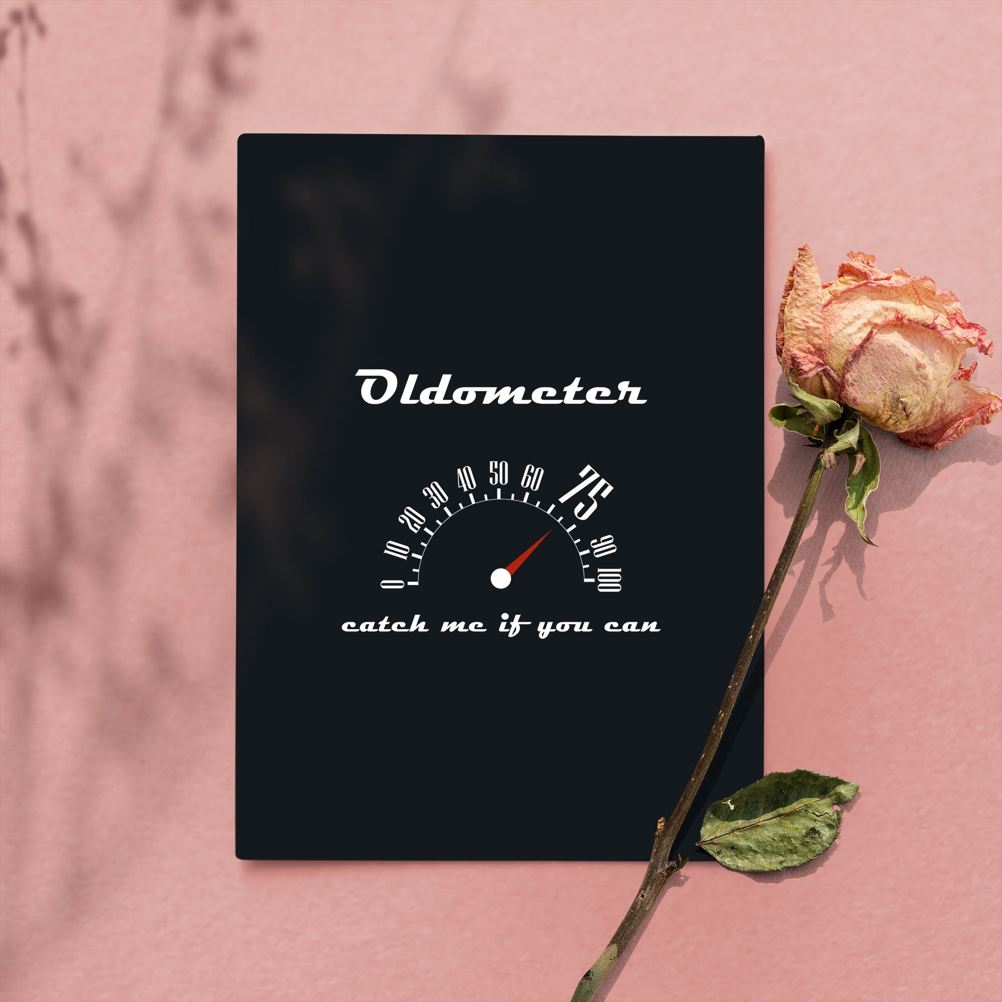 75th Birthday Svg, Oldometer Bundle Svg, Birthday Boy Svg, Birthday ...