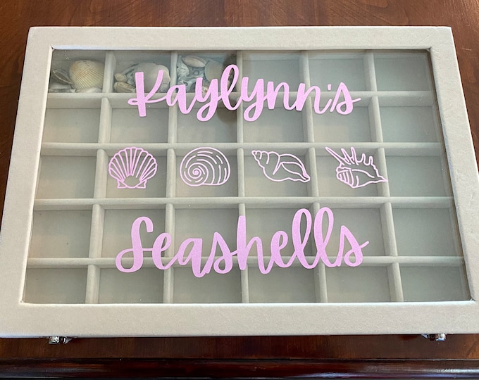 Seashell Collection Display, Seashell Collection Container, Keepsake ...