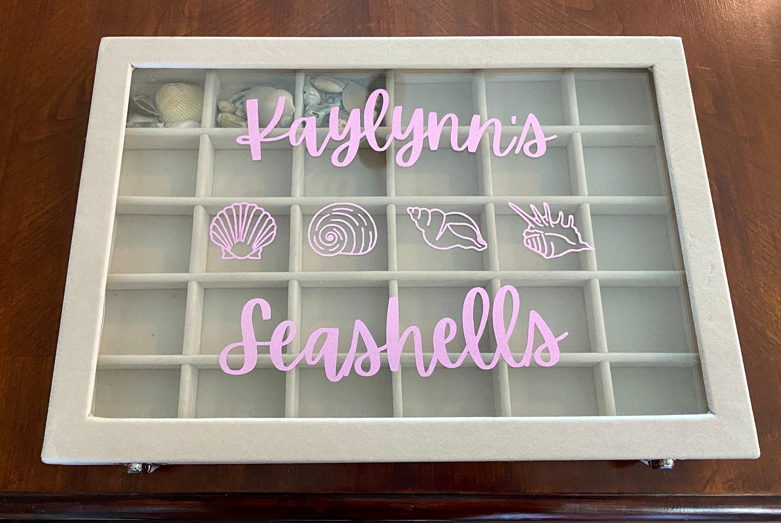 Seashell Collection Display, Seashell Collection Container, Keepsake ...