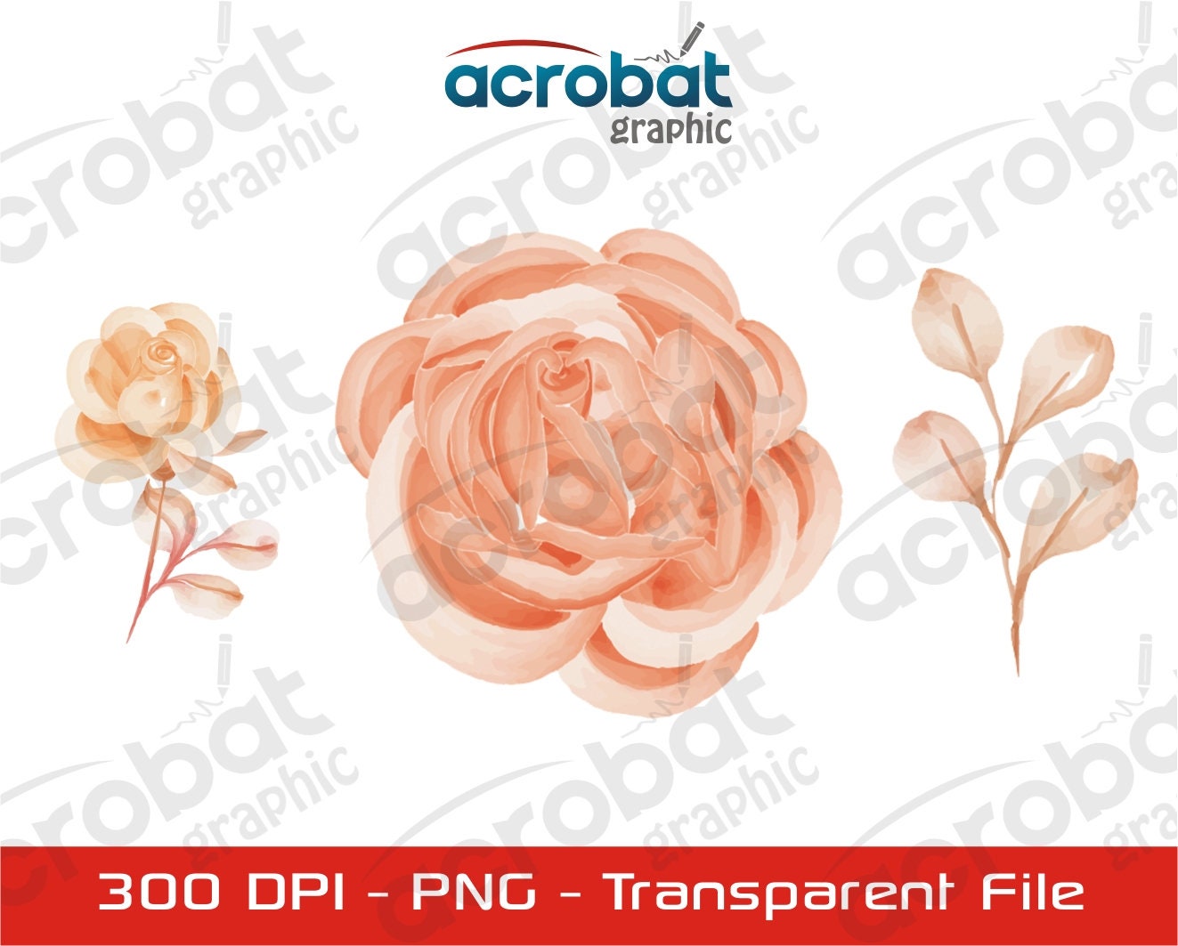 Rose Garden Clip Art Watercolor Flowers Clip Art Tropical - Etsy