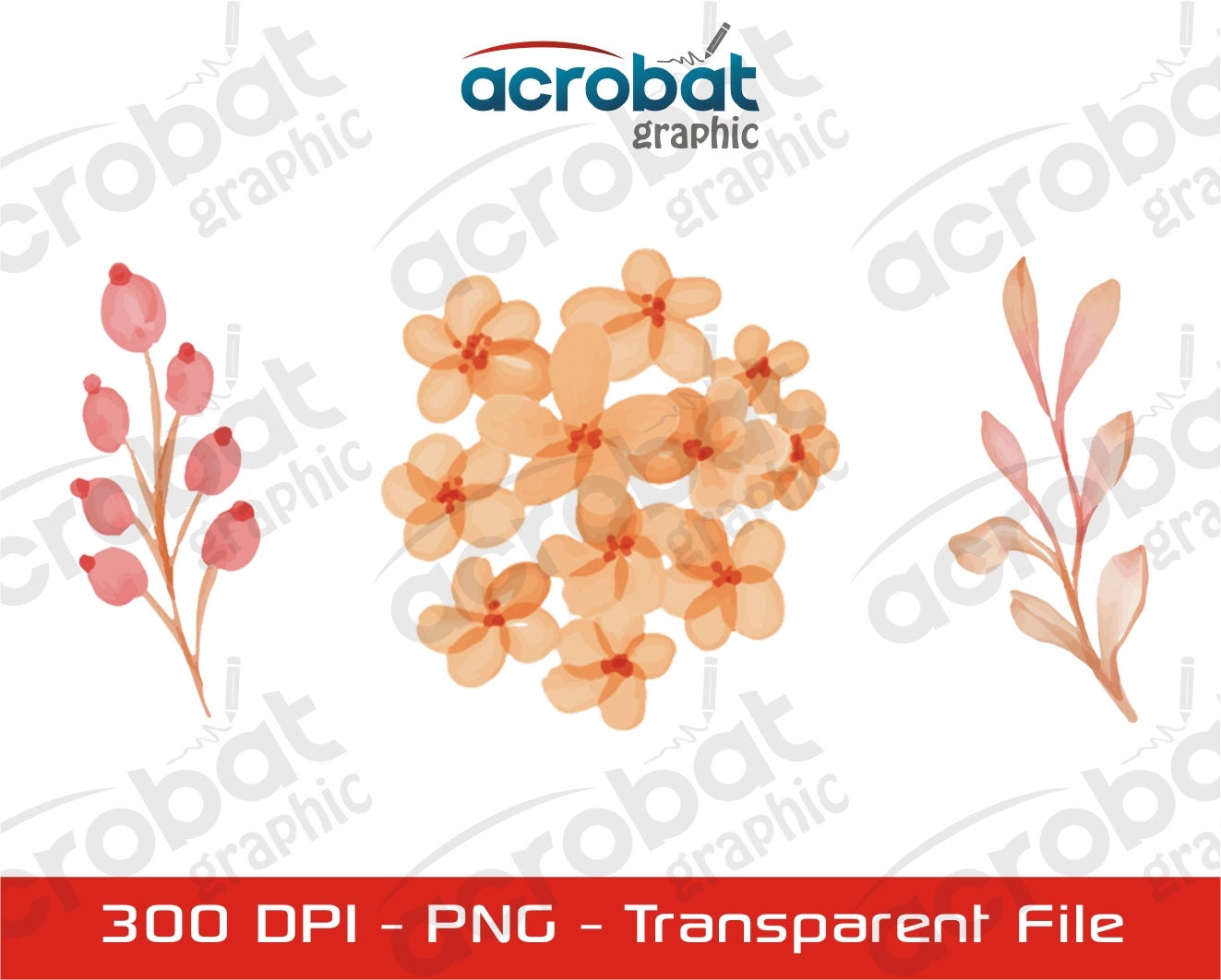 Rose Garden Clip Art Watercolor Flowers Clip Art Tropical - Etsy