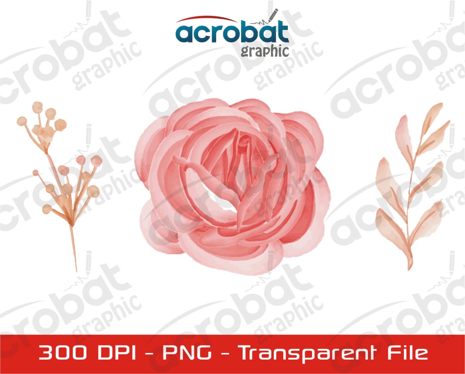 Rose Garden Clip Art Watercolor Flowers Clip Art Tropical - Etsy