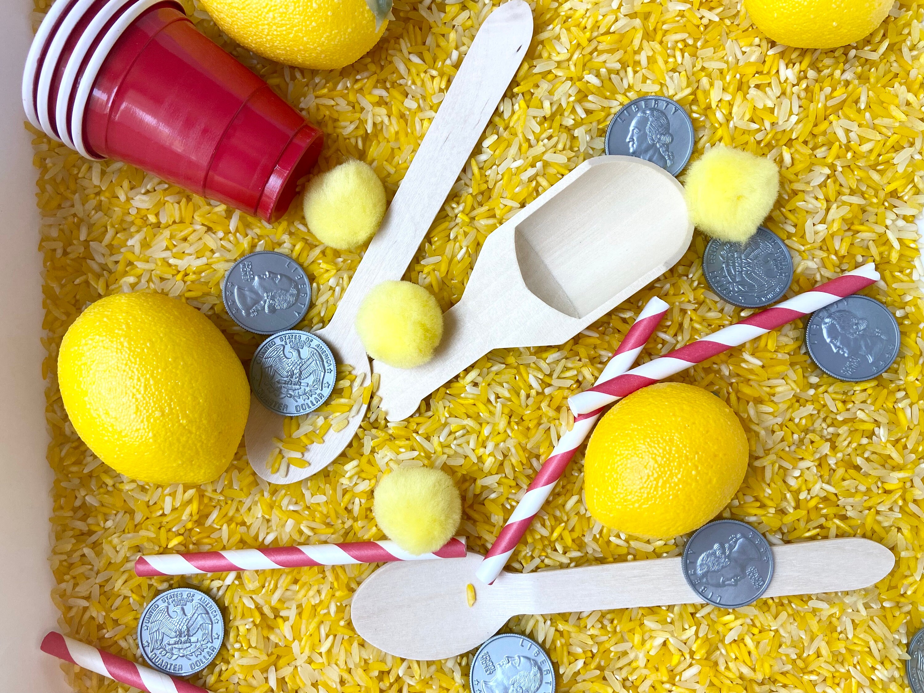 Lemonade Stand Sensory Kit With Learning Add Ons, Sensory Kits for Kids ...