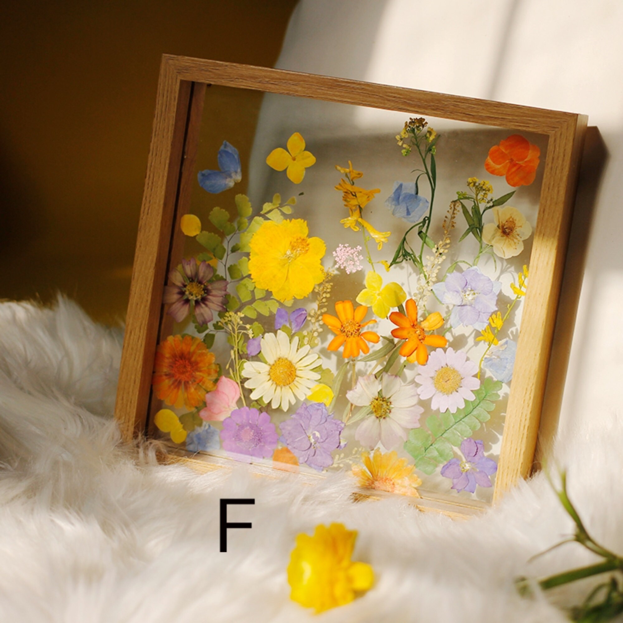 Bright Pressed Flowers Frame,wooden Stand Dried Flower Frame,botanical ...